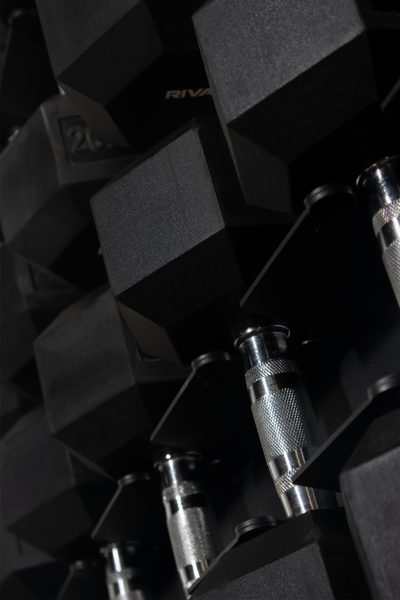Rival Front-Facing 10 pair Commercial Vertical Hex Dumbbell Storage Ra ...