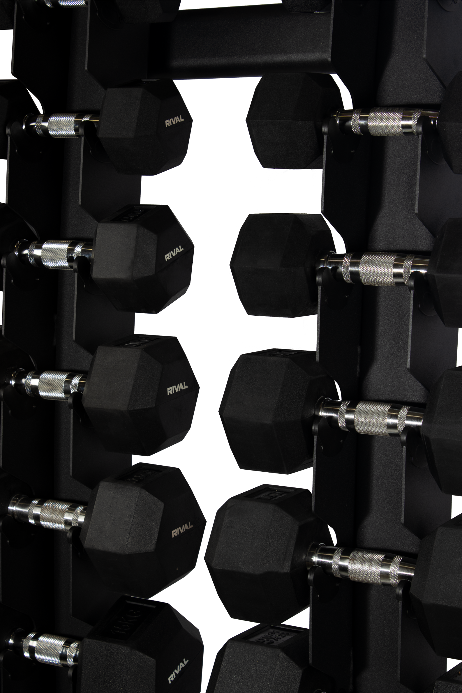 Rival Front-Facing 10 pair Commercial Vertical Hex Dumbbell Storage Ra ...